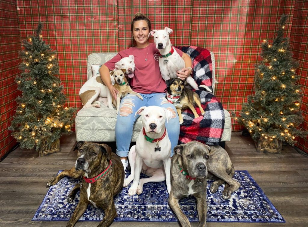 Meet Maddie Love | President/Founder of Love & Paws Rescue, Owner ...