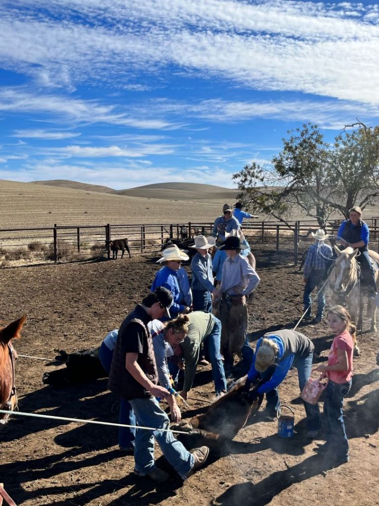 Meet Carly Rudd | Rancher, Rodeo athlete, TV personality - SHOUTOUT DFW