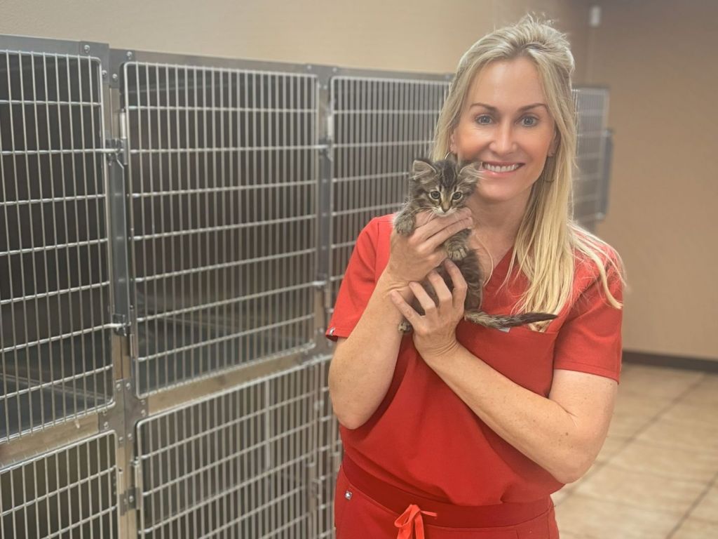 Meet Stacey Schumacher | Executive Director & Founder | Texas Coalition ...