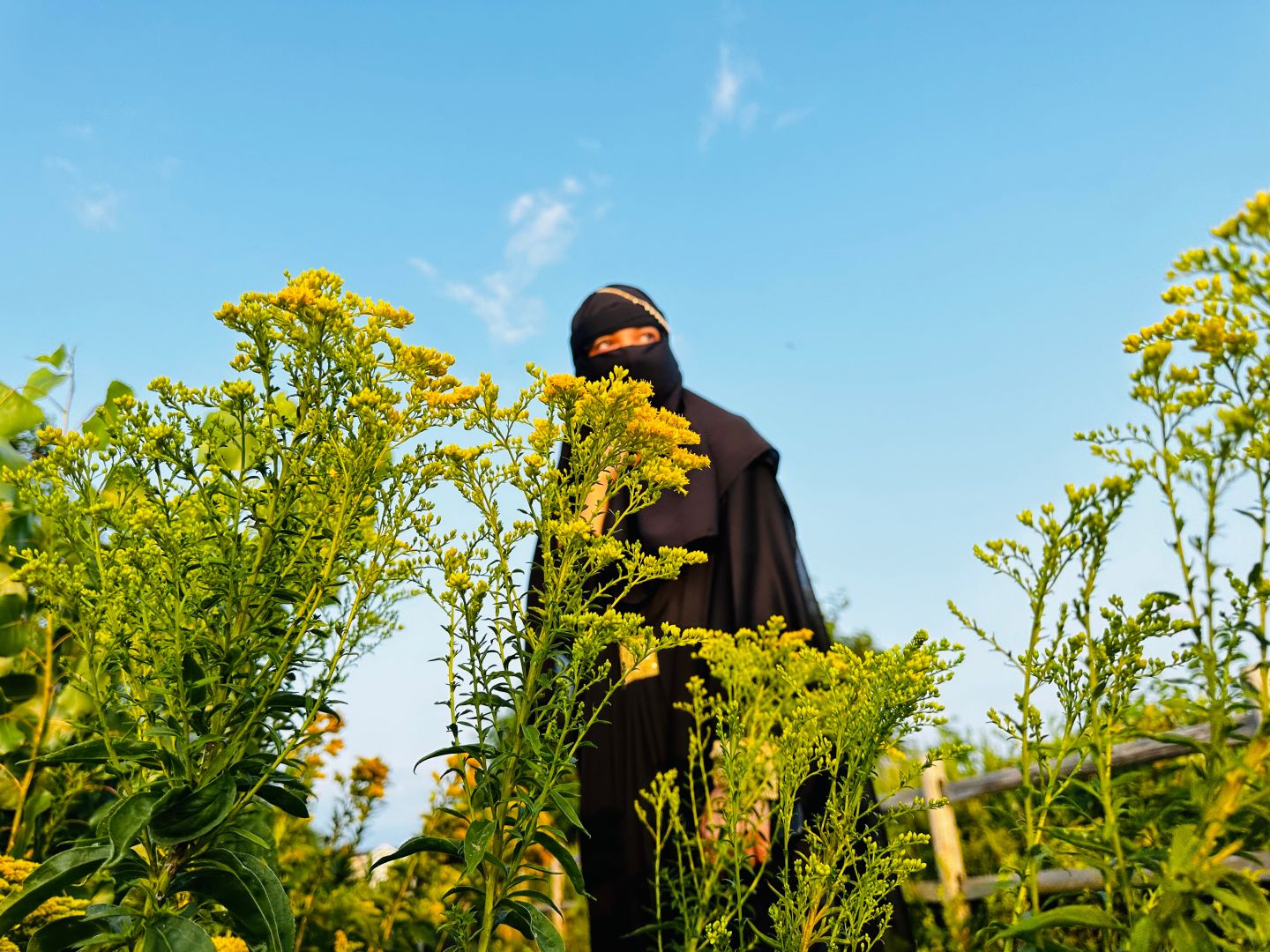 Meet Nazia Islam | Author - SHOUTOUT DFW